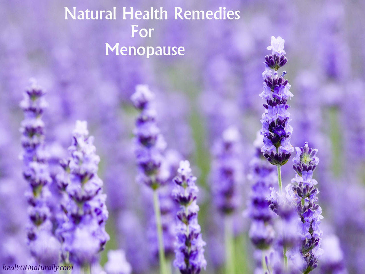 Menopause-natural RemedieshealYOUnaturally | HealYOUnaturally